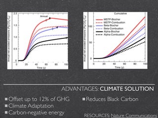 Biochar Stoves:The Commercialization and Advantages | PDF