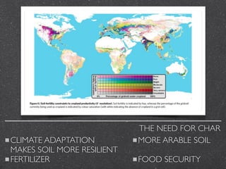 Biochar Stoves:The Commercialization and Advantages | PDF