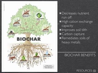 Biochar Stoves:The Commercialization and Advantages | PDF