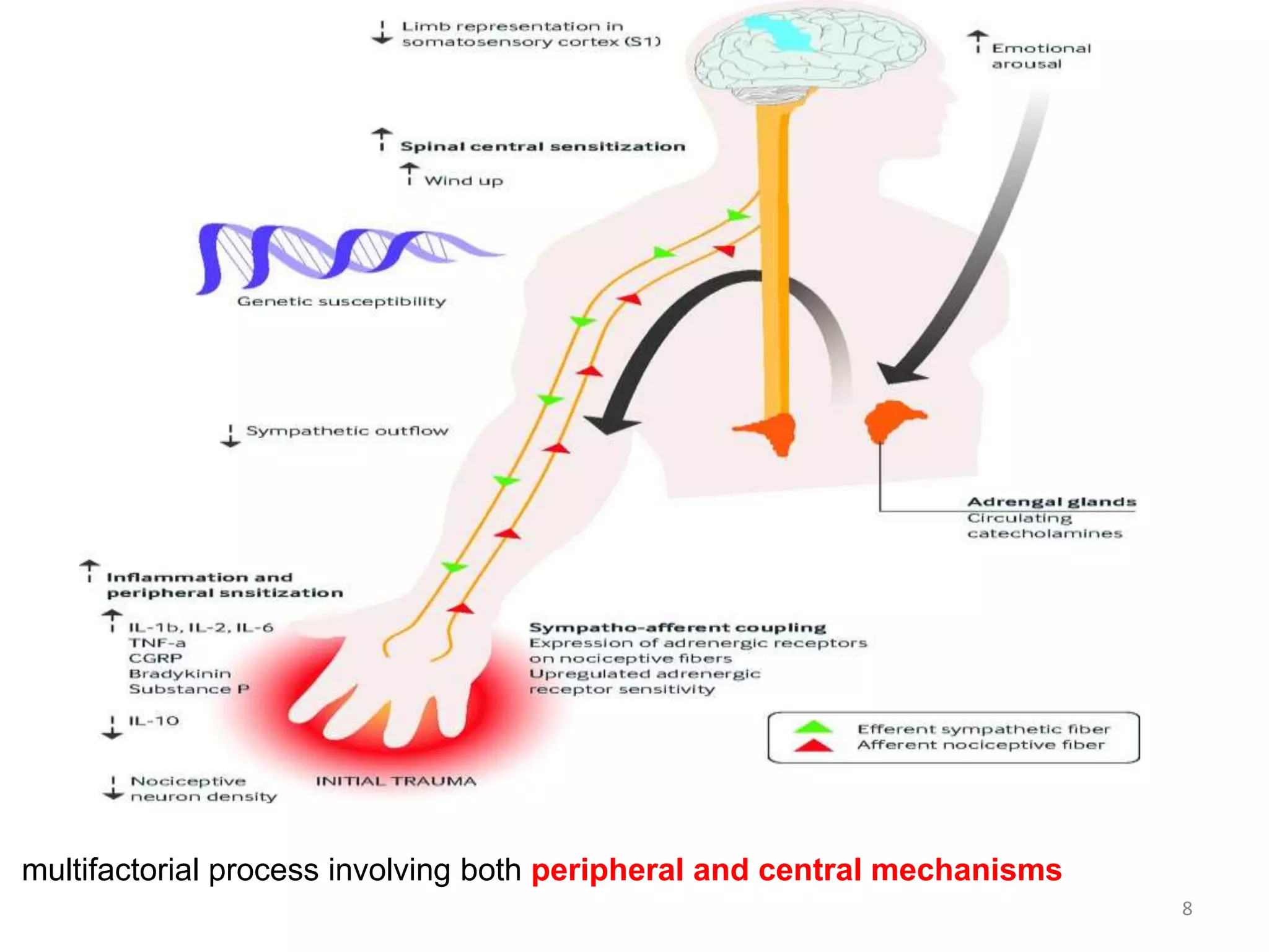 complex regional pain syndrome. C.R.P.S | PPTX
