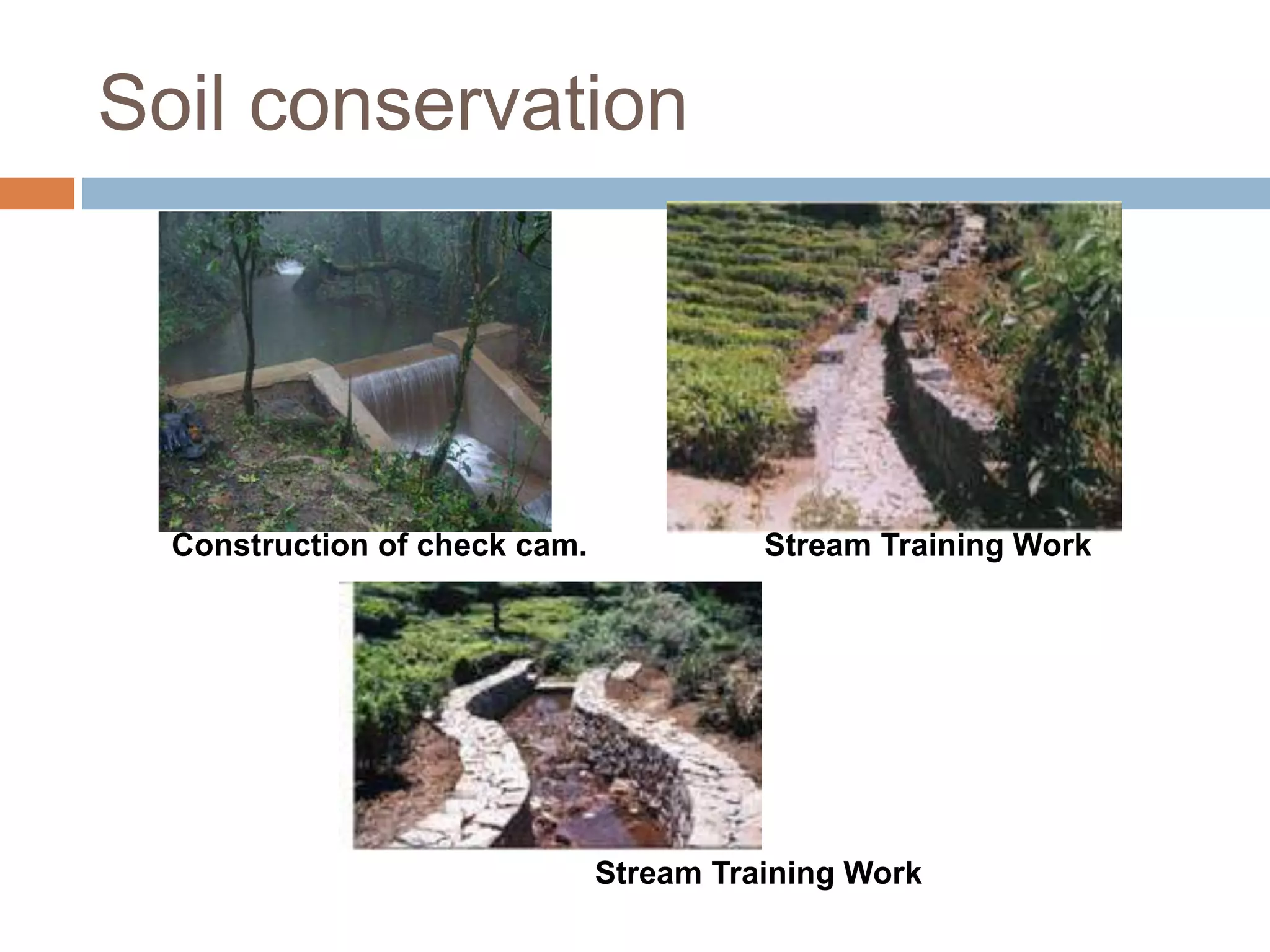 Hill area Development programme-NILGIRIS district | PPTX