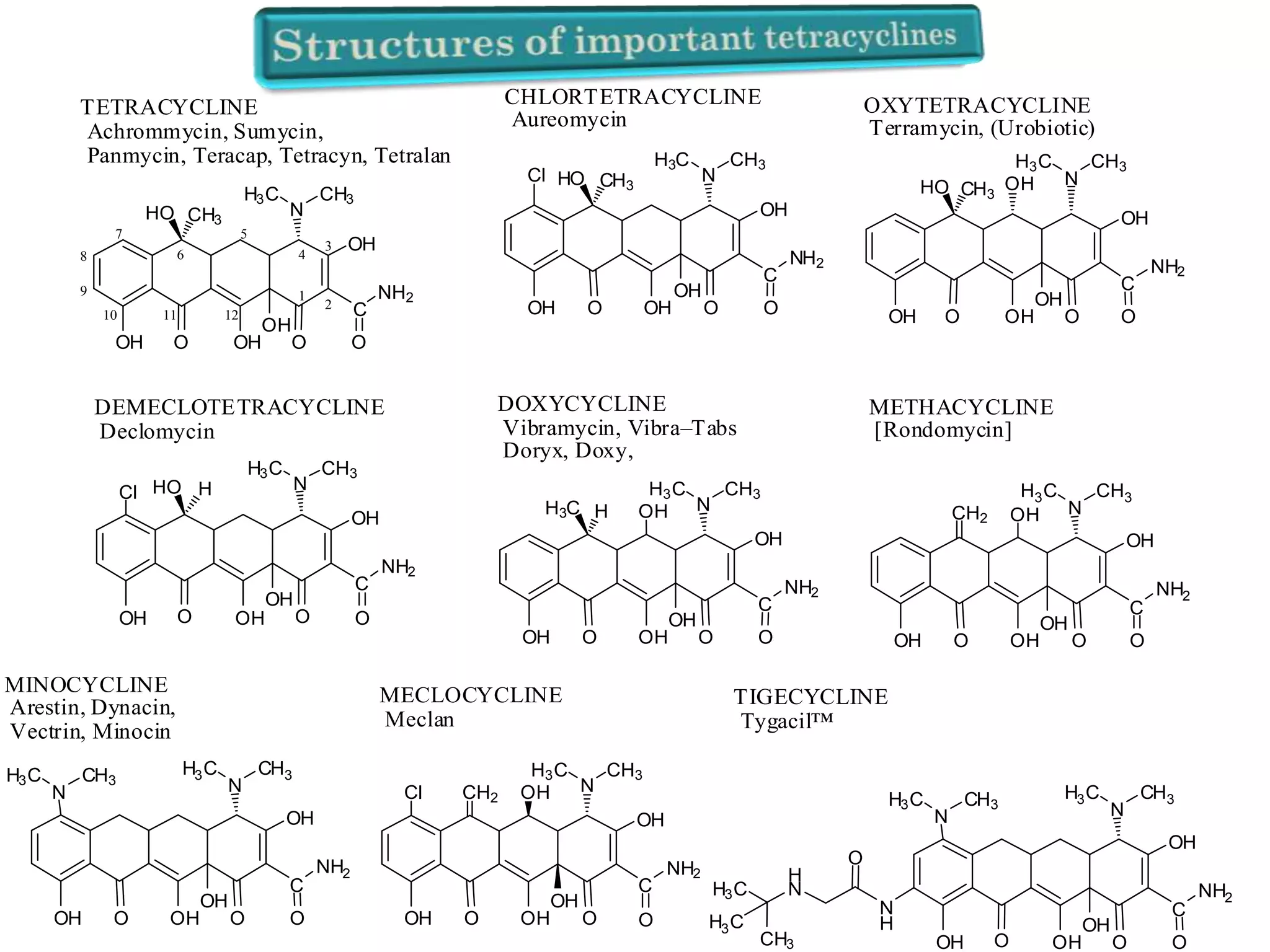 Tetracyclines- Ravisankar- Medicinal chemistry, Definition ...