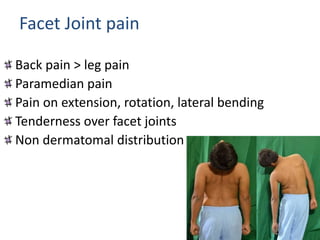 back pain algorithm ravi | PPT