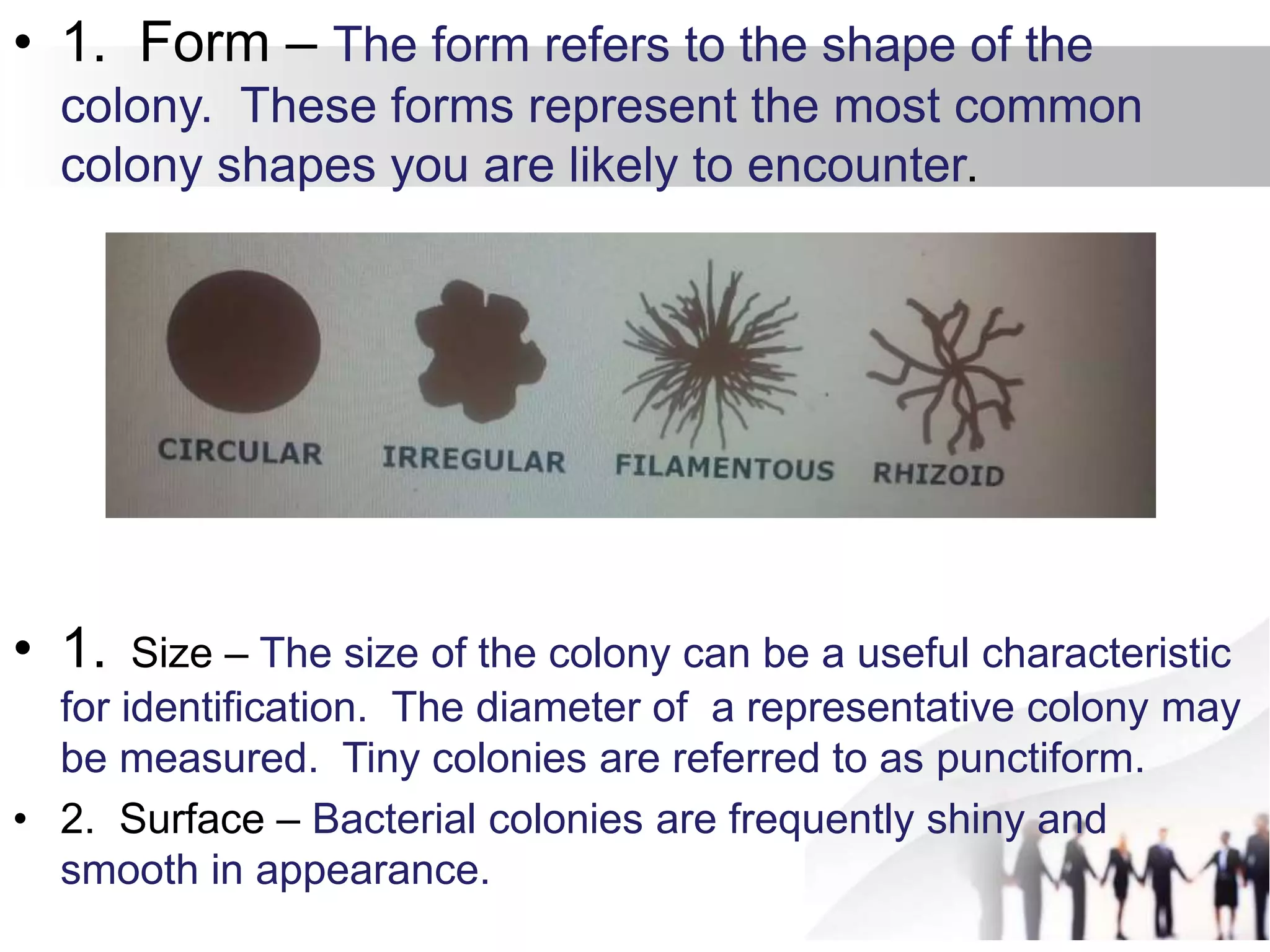 CCC and Colony Morphology | PPTX