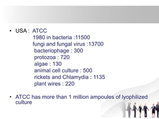 CCC and Colony Morphology | PPT