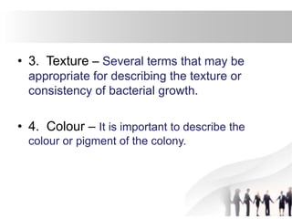 CCC and Colony Morphology | PPT