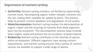 Cycle of important organic nutrients.pdf
