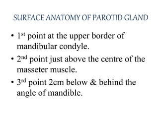 DEVELOPMENT OF PAROTID GLAND | PPTX