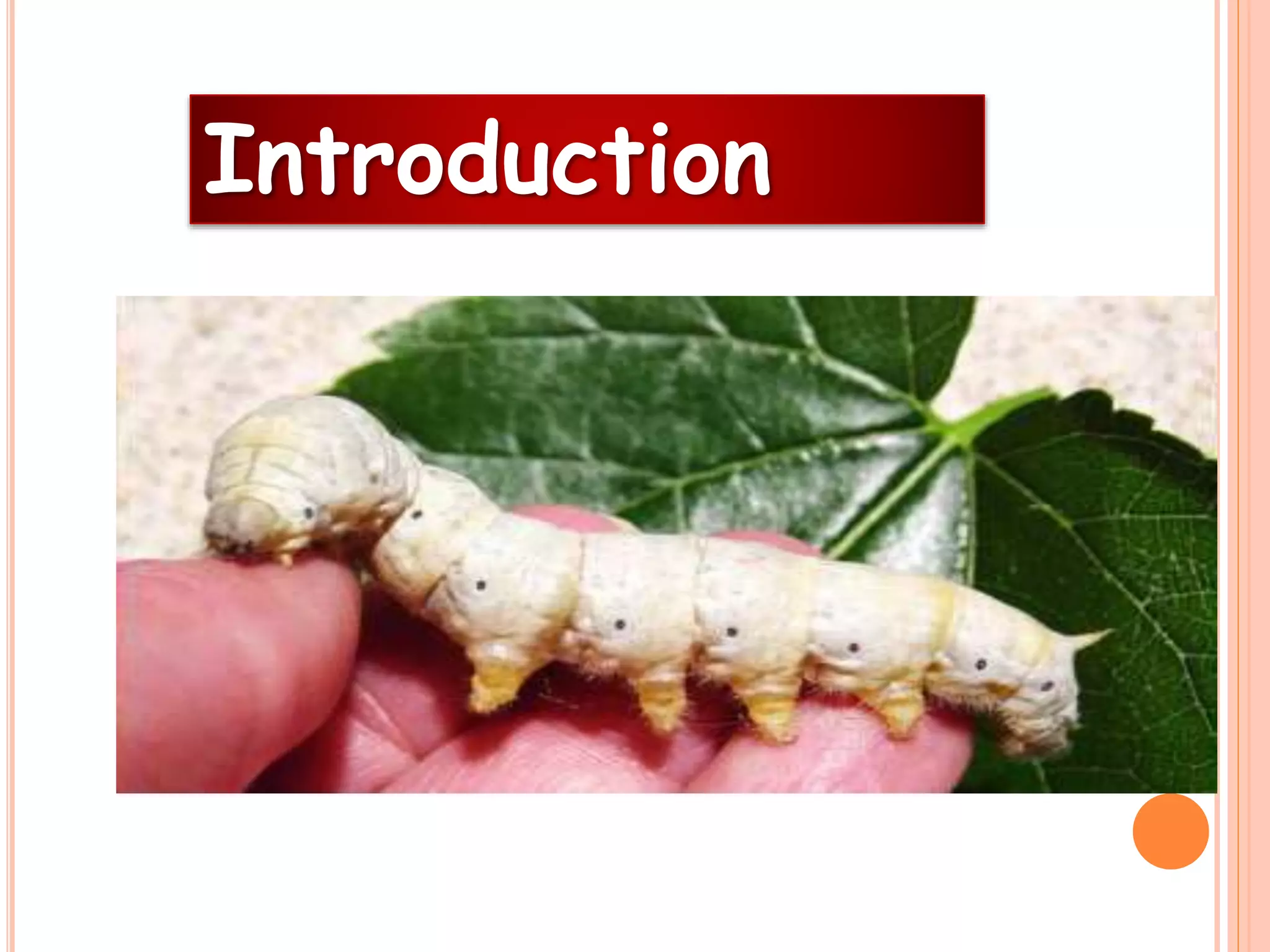 Sericulture in India | PPTX