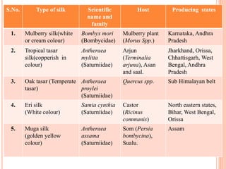 Sericulture in India | PPTX