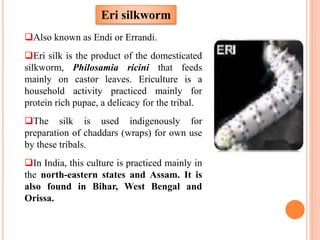 Sericulture in India | PPTX