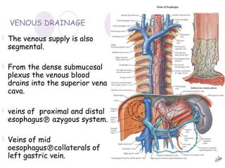 ravindraanatomyofesophagus-140423075902-phpapp02.pptx