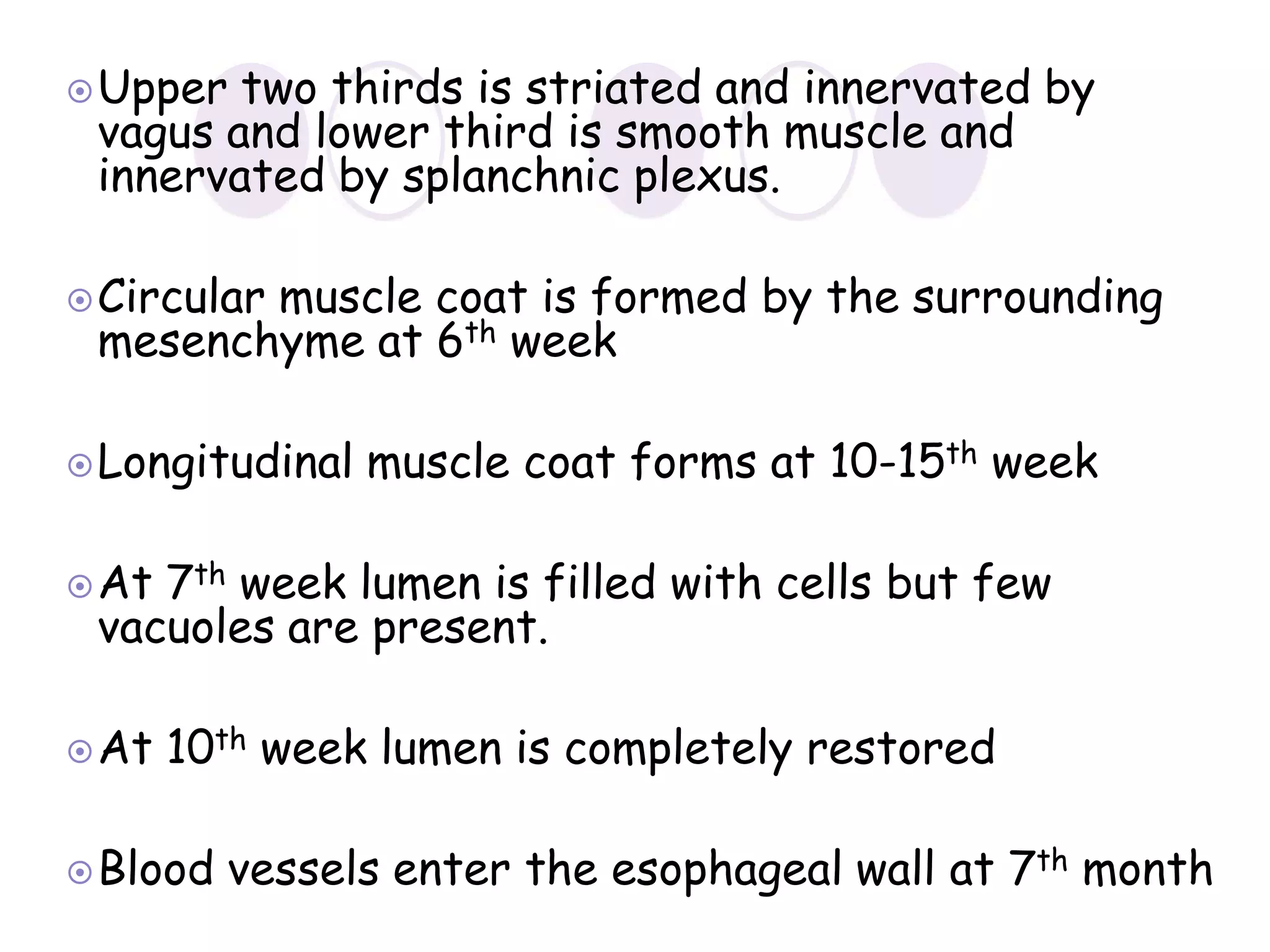 anatomy of esophagus by dr ravindra daggupati | PPTX
