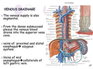 Proximal Vs Distal Esophagus