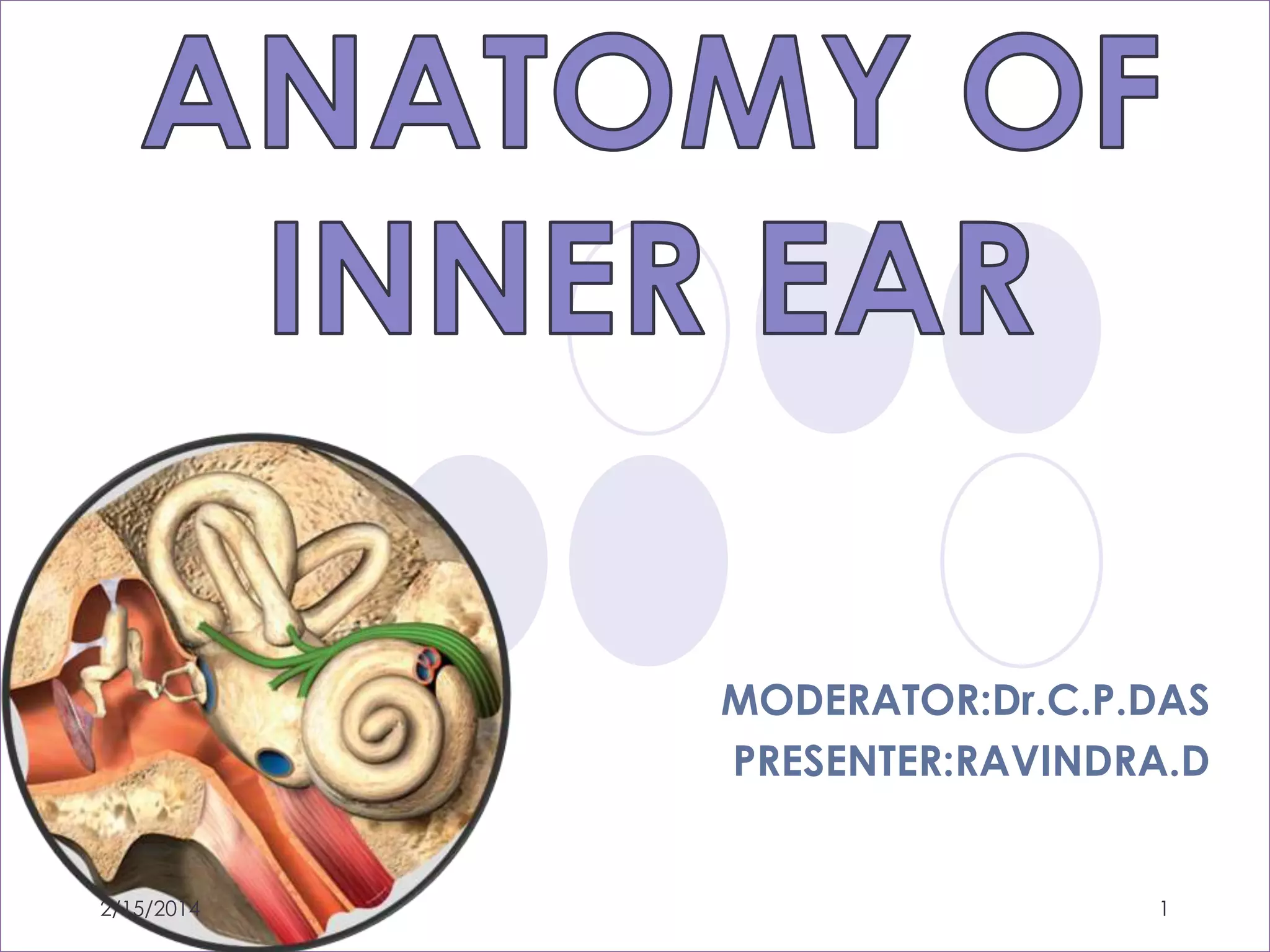 anatomy of inner ear by dr. ravindra daggupati | PPT