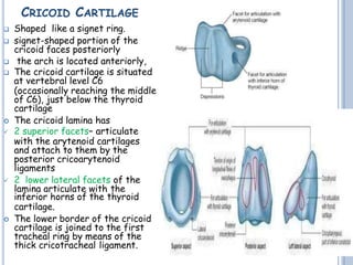 Cricoid Cartilage Thyroid