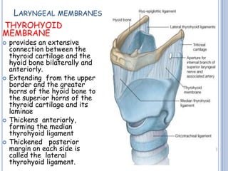 Thyrohyoid Membrane