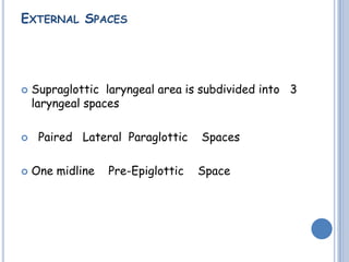 anatomy of larynx by ravindra daggupati | PPTX