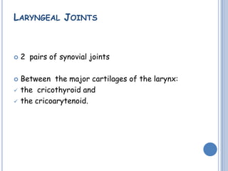 anatomy of larynx by ravindra daggupati | PPTX