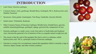 Ravindra garcinia farming paikra for agriculture students | PPTX