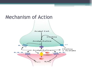 Nootropics (M.Pharm) | PPTX