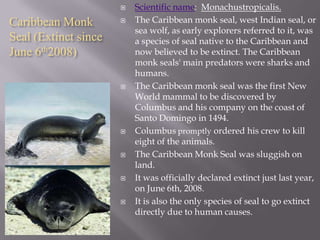 extinct animal and birds | PPTX