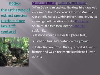 extinct animal and birds | PPTX