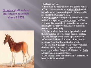 extinct animal and birds | PPTX