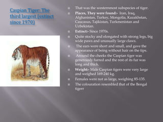 extinct animal and birds | PPTX