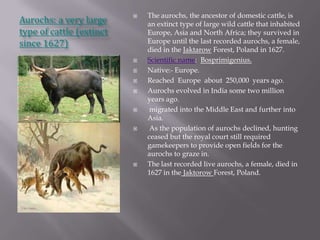 extinct animal and birds | PPTX