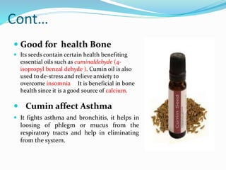 Role of spices in human health | PPTX