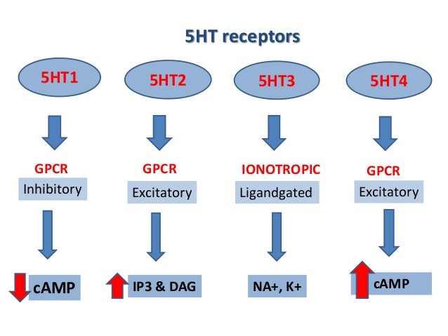 neurohumoral transmission in cns