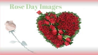 Ravishing Happy Rose Day 2017 - Quotes, Wishes, And Images | PPTX