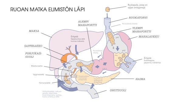 Ravitsemusseminaari 2016 – Vatsa Kuntoon
