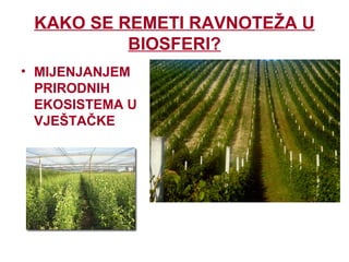 Ravnoteža je važna | PPT