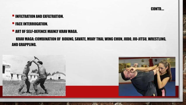 Raw- Research & Analysis Wing | PPTX