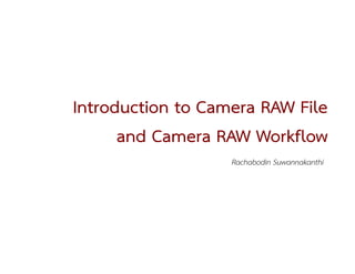 Camera RAW Workflow | PPT