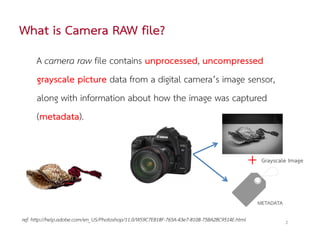 Camera RAW Workflow | PDF