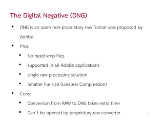 Camera RAW Workflow | PDF