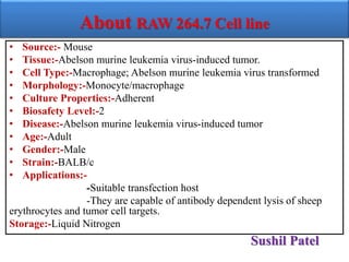 Raw264.7 Cell line | PPT