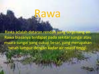 Rawa | PPTX