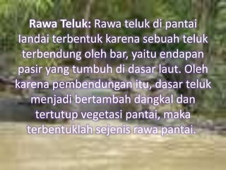 Rawa | PPTX