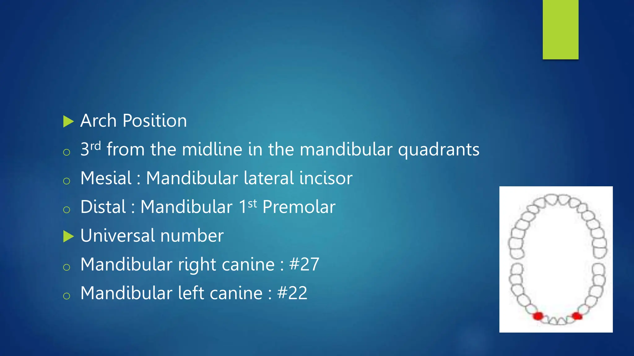 RAWAL Mandibular Canine tooth morpholo.pptx