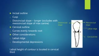 RAWAL Mandibular Canine tooth morpholo.pptx