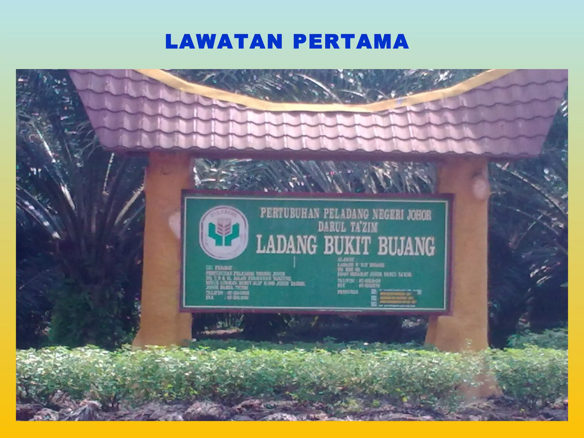 Rawatan ladang bukit bujang | PPT