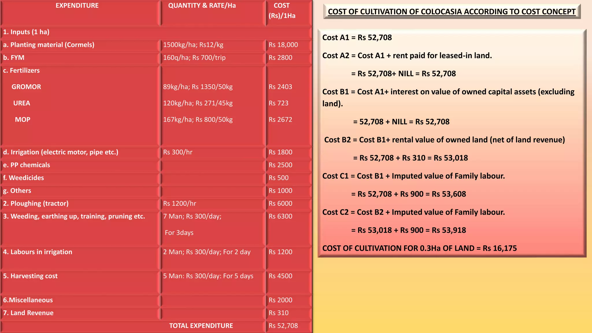 Rawe Presentation Gayatri Pati | PPTX
