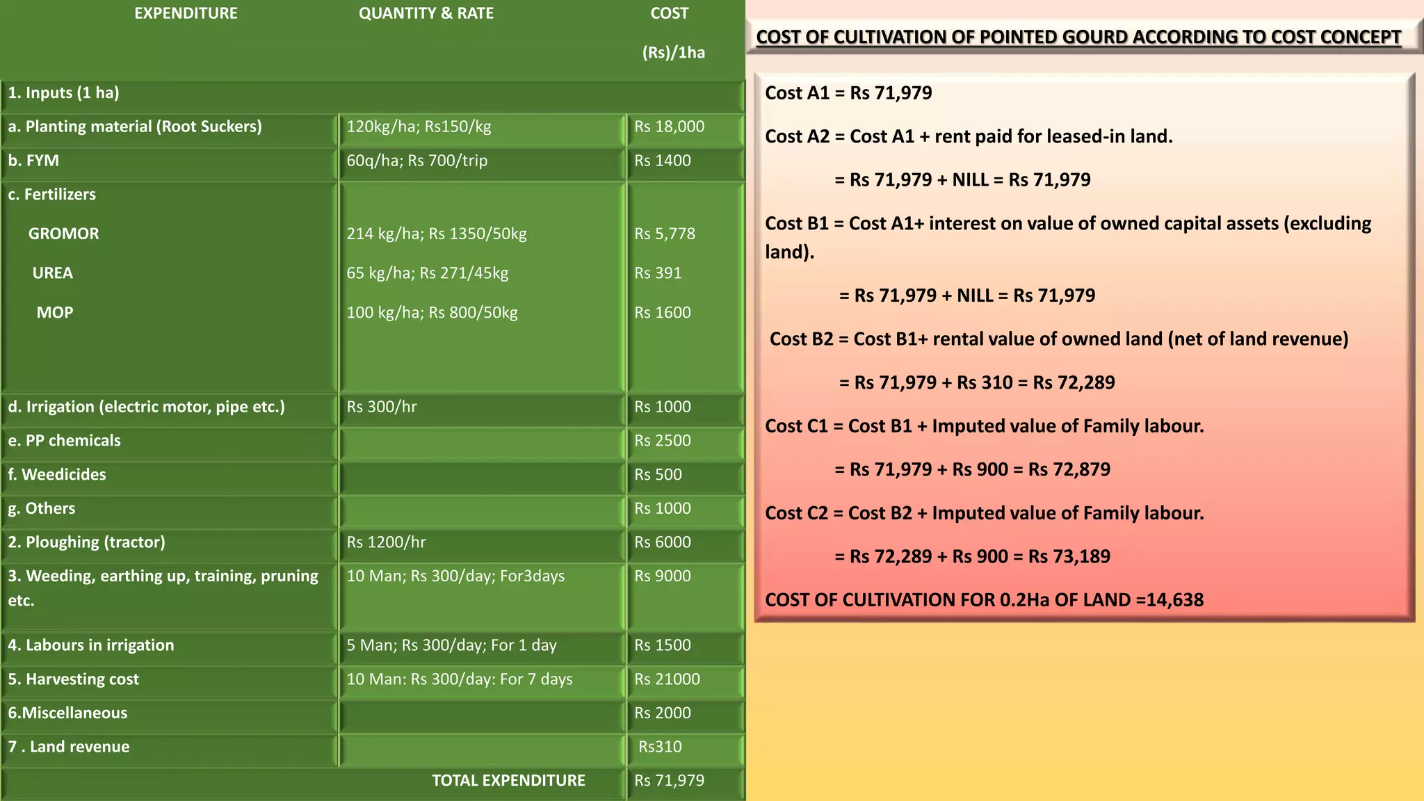 Rawe Presentation Gayatri Pati | PPTX
