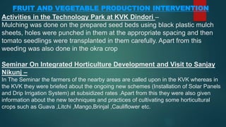 RAWE DINDORI PPT-1.pptx