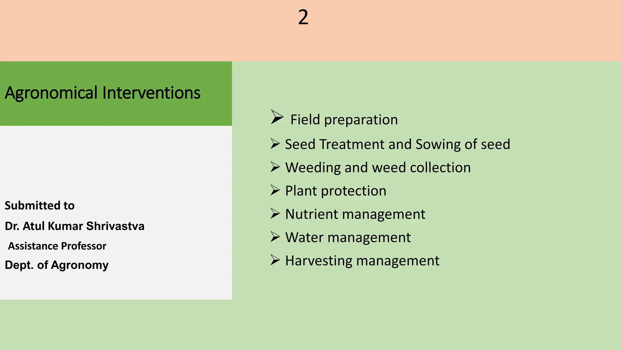 Rural Agricultural Work Experience (RAWE).pptx