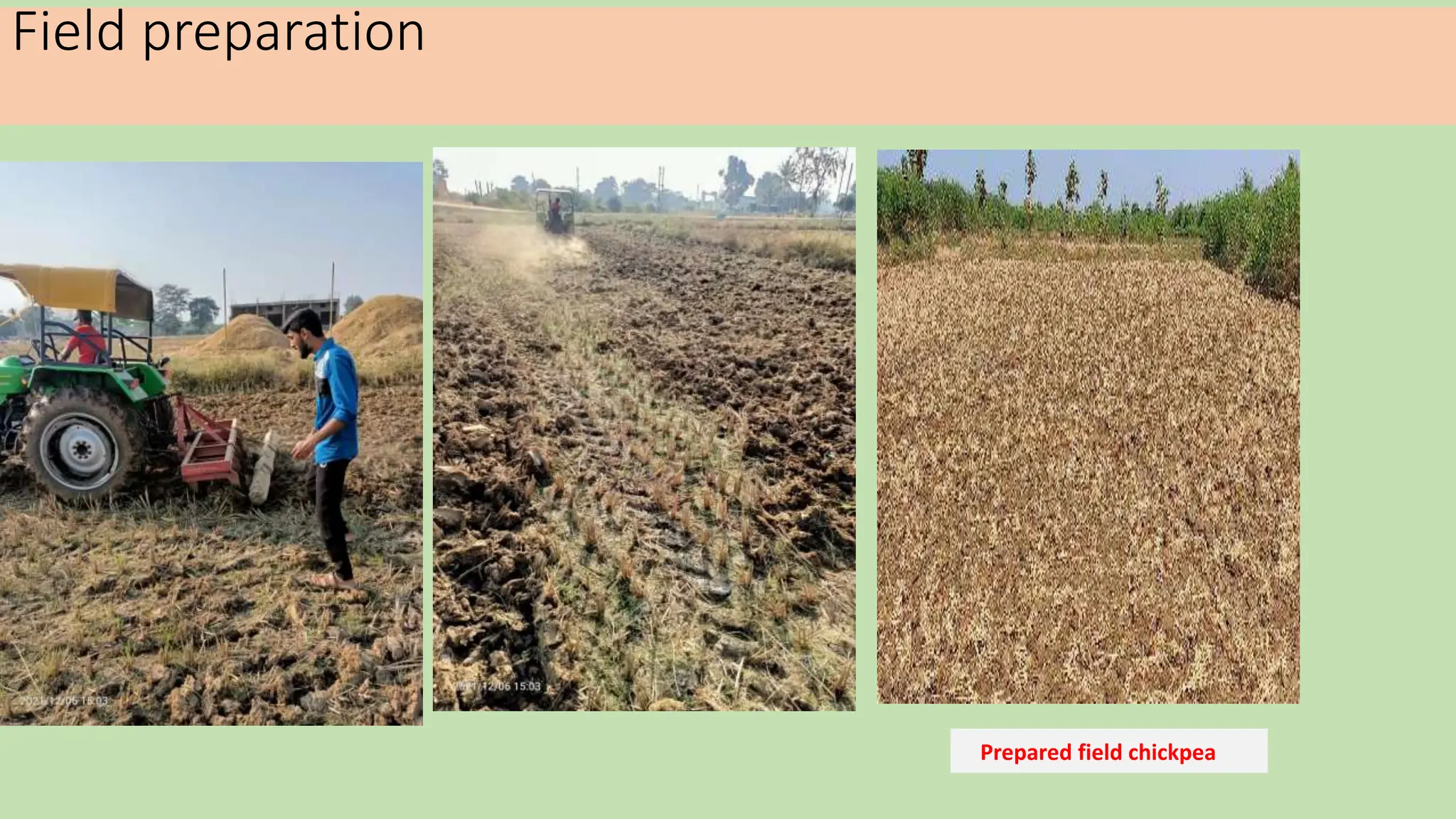 Rural Agricultural Work Experience (RAWE).pptx